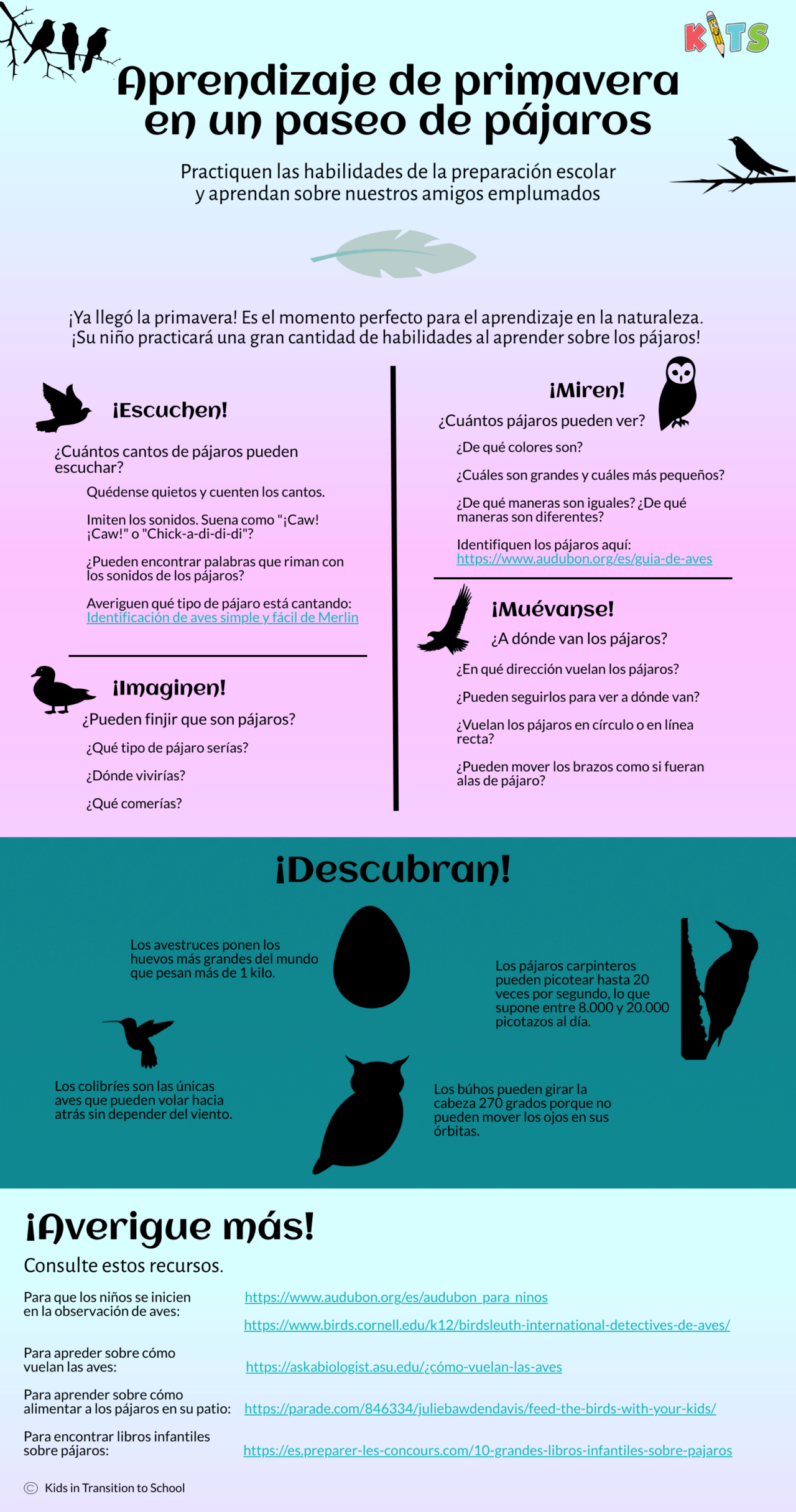 Aprendizaje de primavera en un paseo de pájaros – Infográfico - KITS